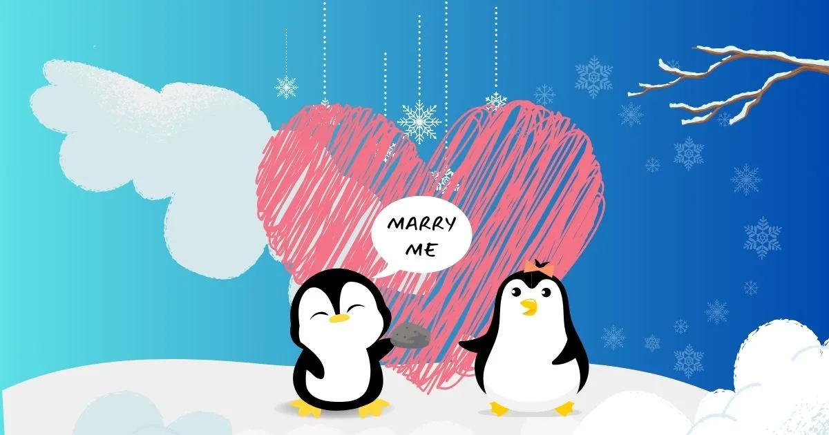 Penguin Love: Pebbles, Courtship in Charming Antarctic Tales.